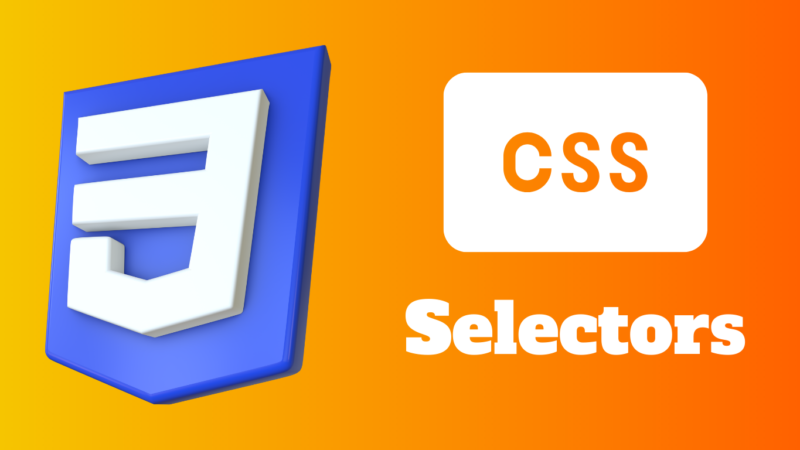 CSS Selectors - Everything you need to know - The She Coder